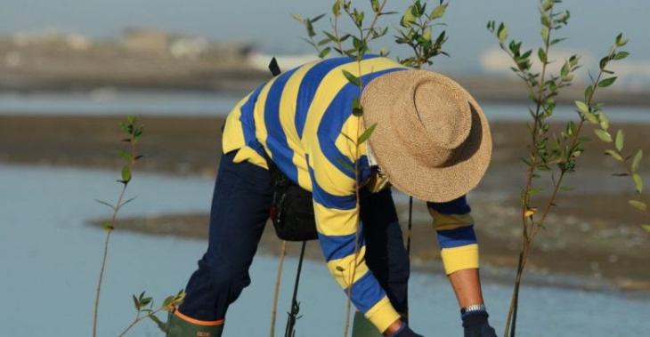 خور القريم السياحي بالمصنعة.. وجهة سياحية ومتنفس للأسرة | جريدة الرؤية ...
